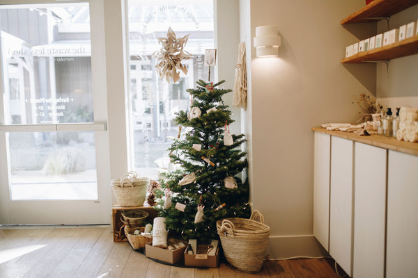 The Waste Less Shop- everyday sustainable living